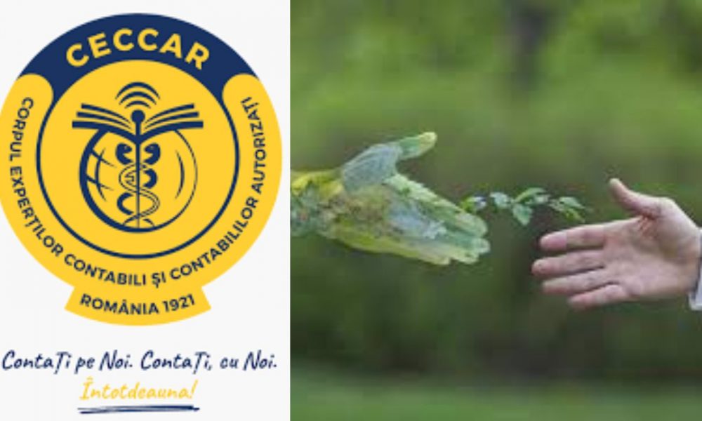 CECCAR: “Raportarea sustenabilității este un bun indicator al ...
