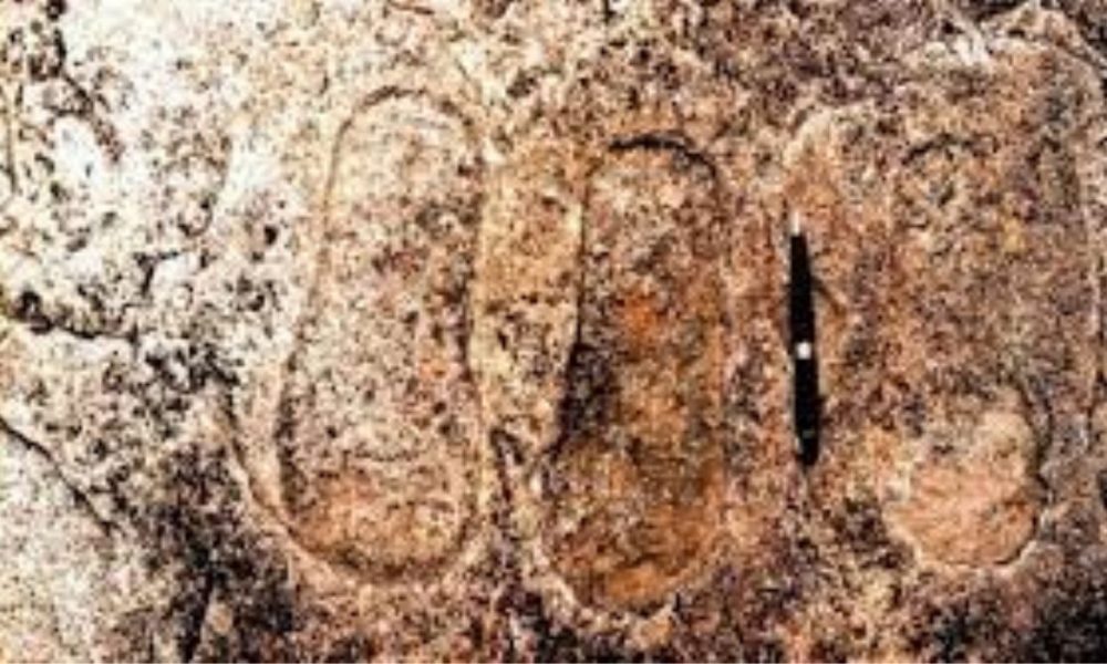 Cele mai vechi urme de paşi umani descoperite până acum în Europa se ...