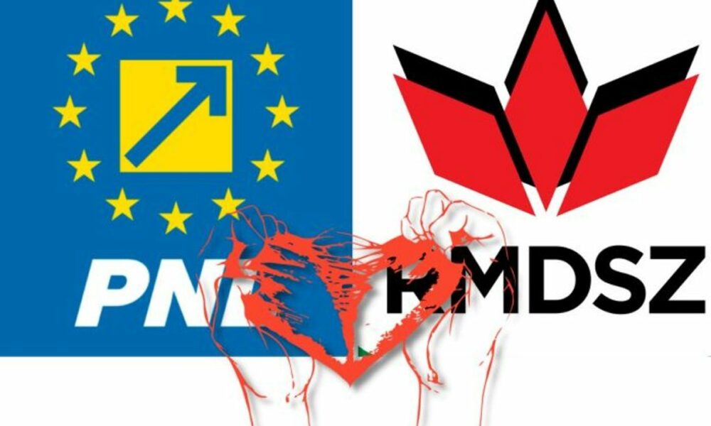 UDMR Satu Mare acuză: Filiala judeţeană a PNL a ajuns pe mâna unui ...