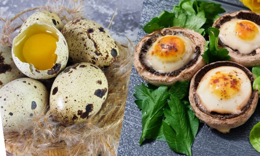 Știți să gătiți oul de prepeliță? E aliment și delicatesă în același ...