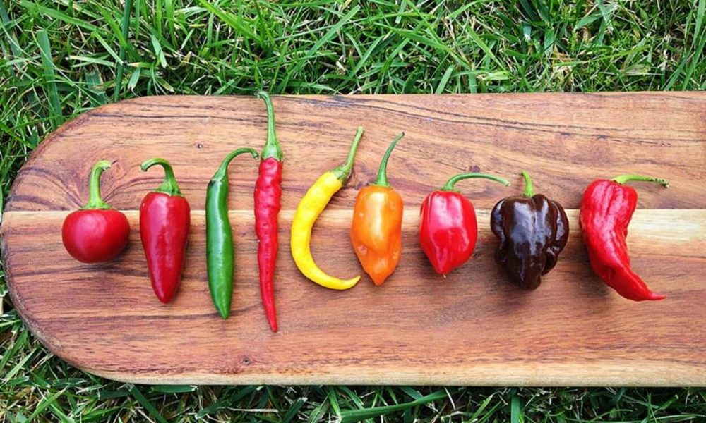 Românii au cel mai iute ardei din lume. Specialiștii vor în Cartea ...